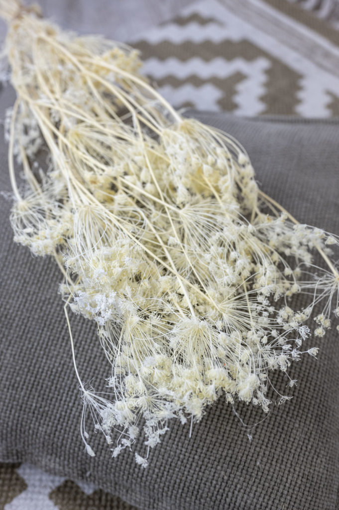 Dill weiß gebleicht | getrocknet | 1 Bund online kaufen